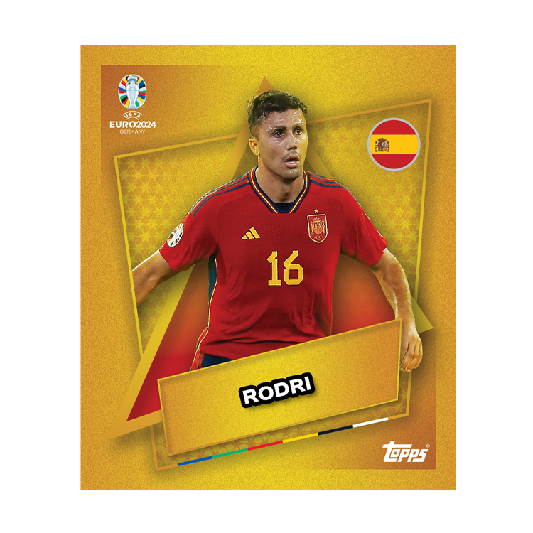 TOPPS « UEFA EURO 2024 STICKERS » : fiche signalétique avec check-list ...